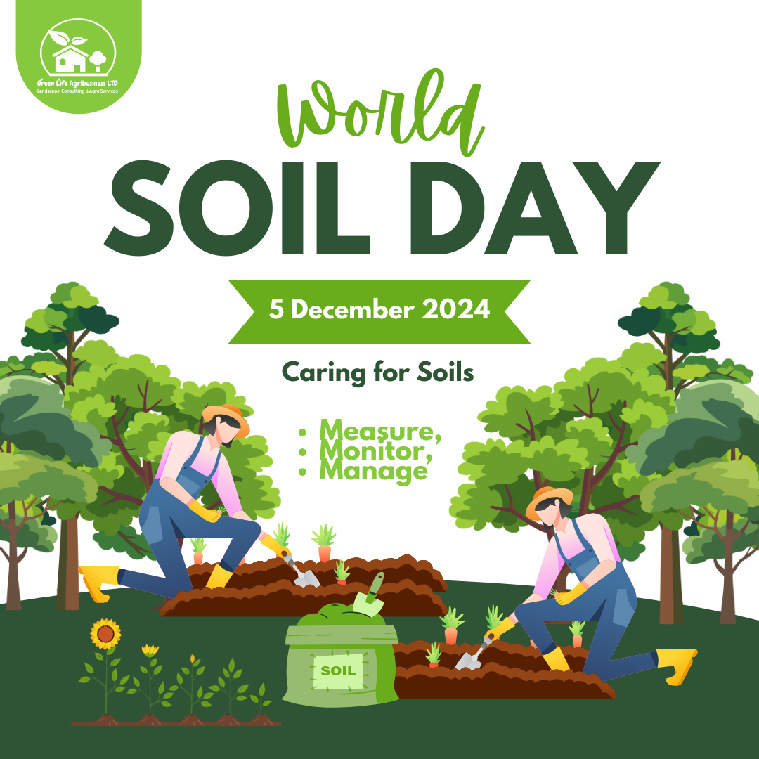 World Soil Day 2024: Caring for Soils – Measure, Monitor, Manage – GREEN LIFE Agribusiness LTD
